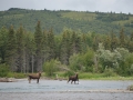 Kisaralik River | Float Alaska